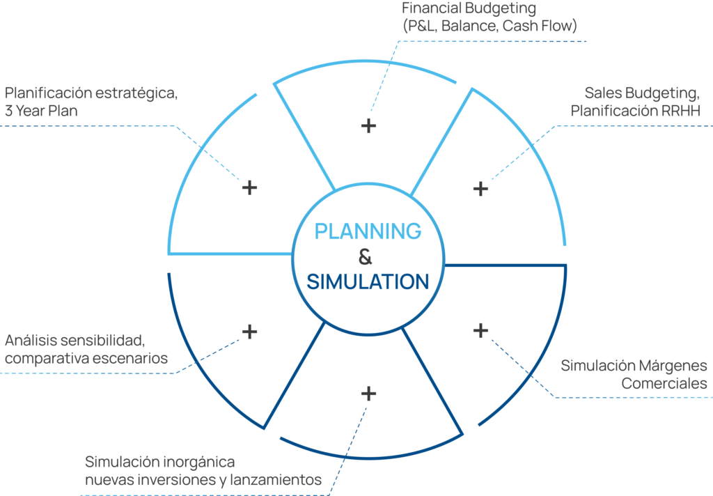 Servicios - Holistic Data Solutions