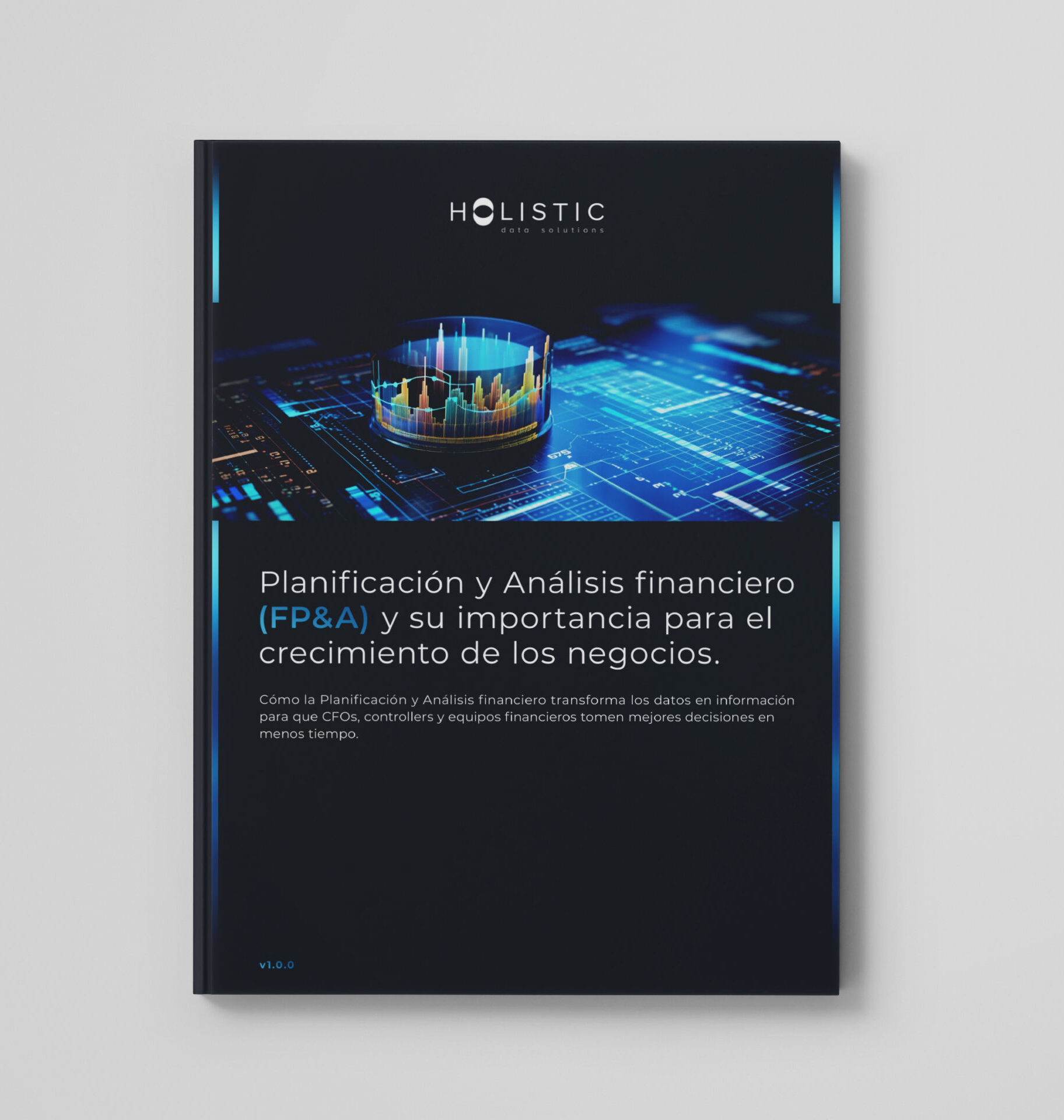 Ebook FP&A - Holistic Data Solutions